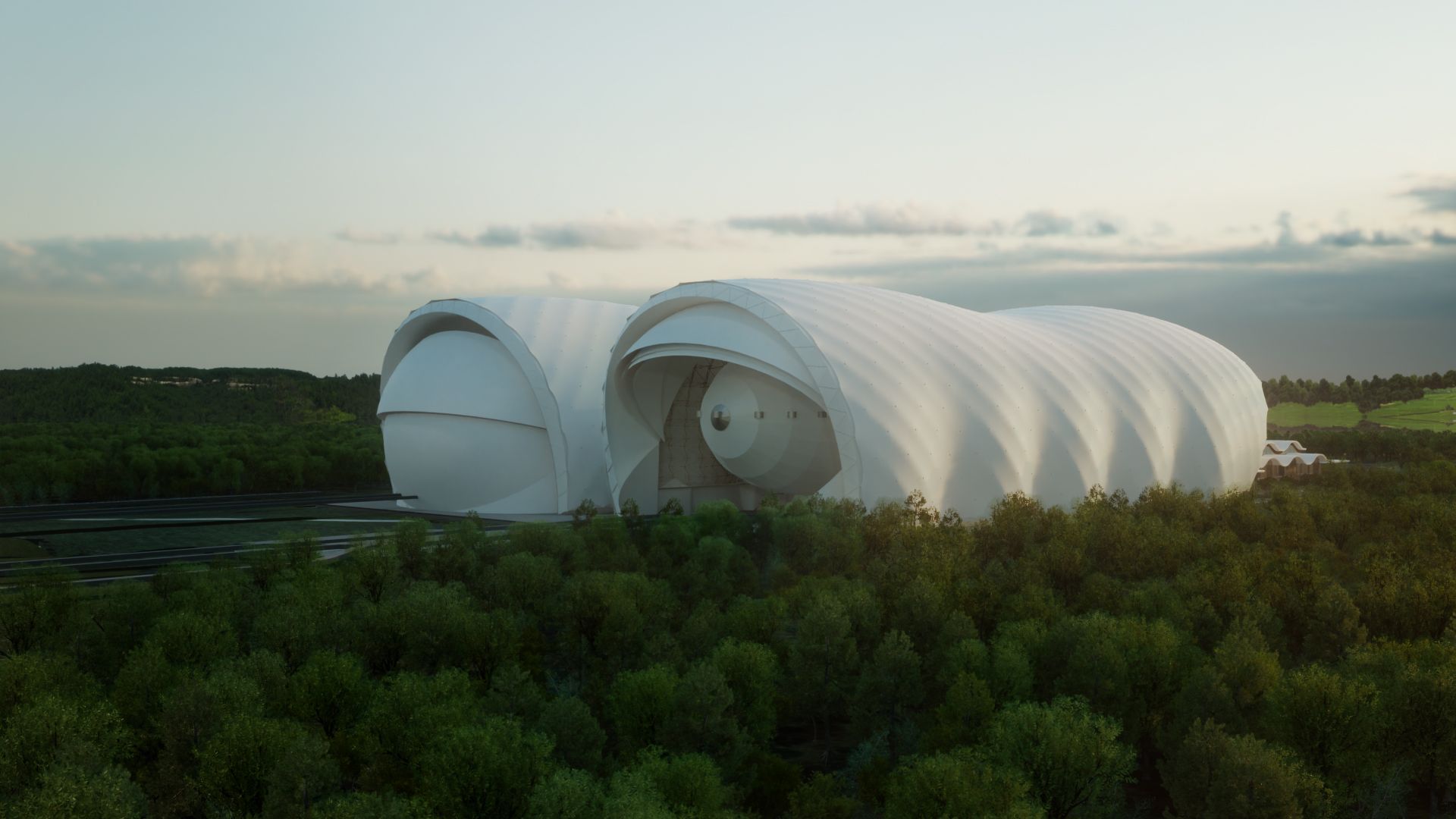 FLYING WHALES - Mamou-Mani